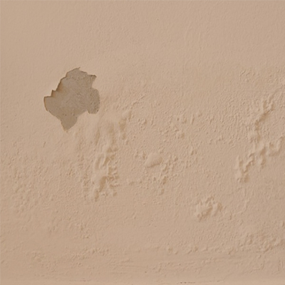 Paint Defects and Solutions