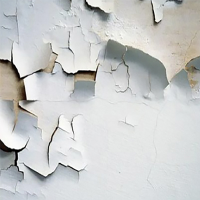Paint Defects and Solutions